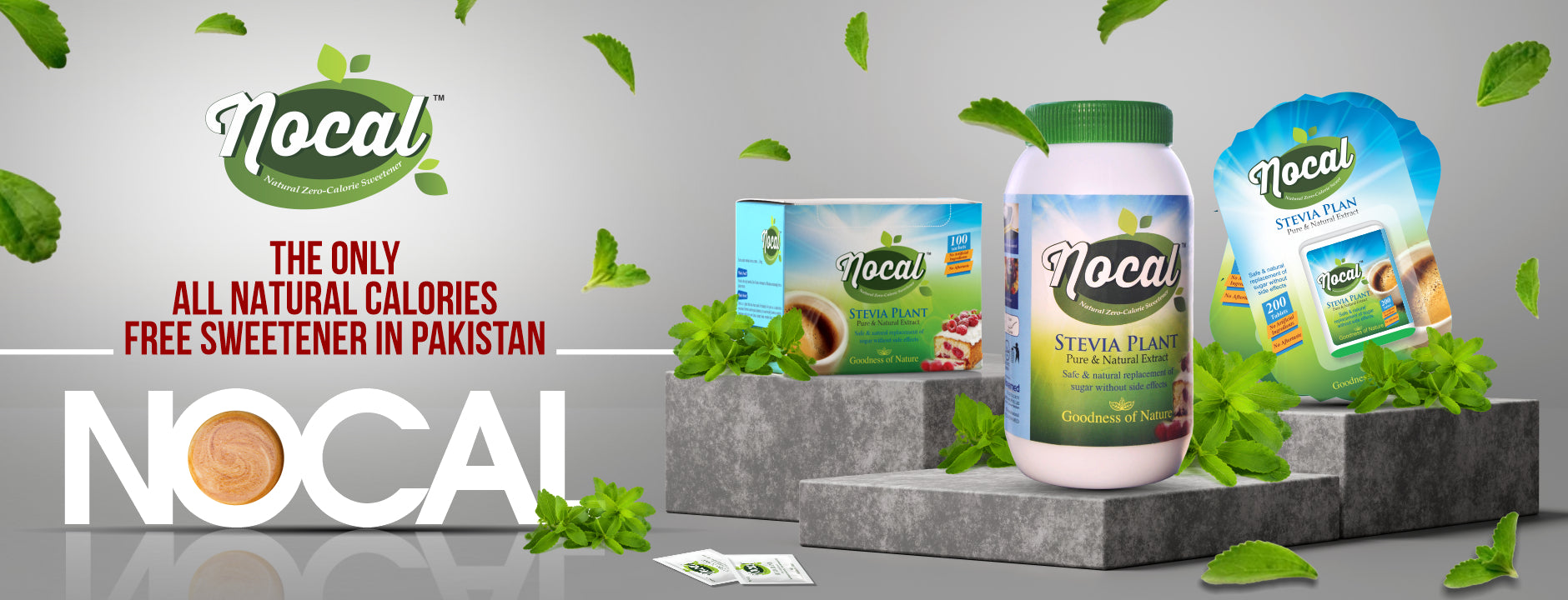 NOVAMED HEALTHCARE - NOCAL